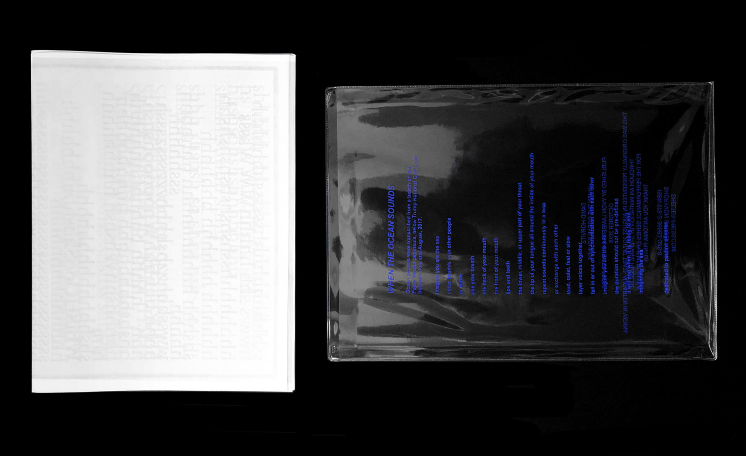 SP — David Horvitz ‘When The Ocean Sounds’